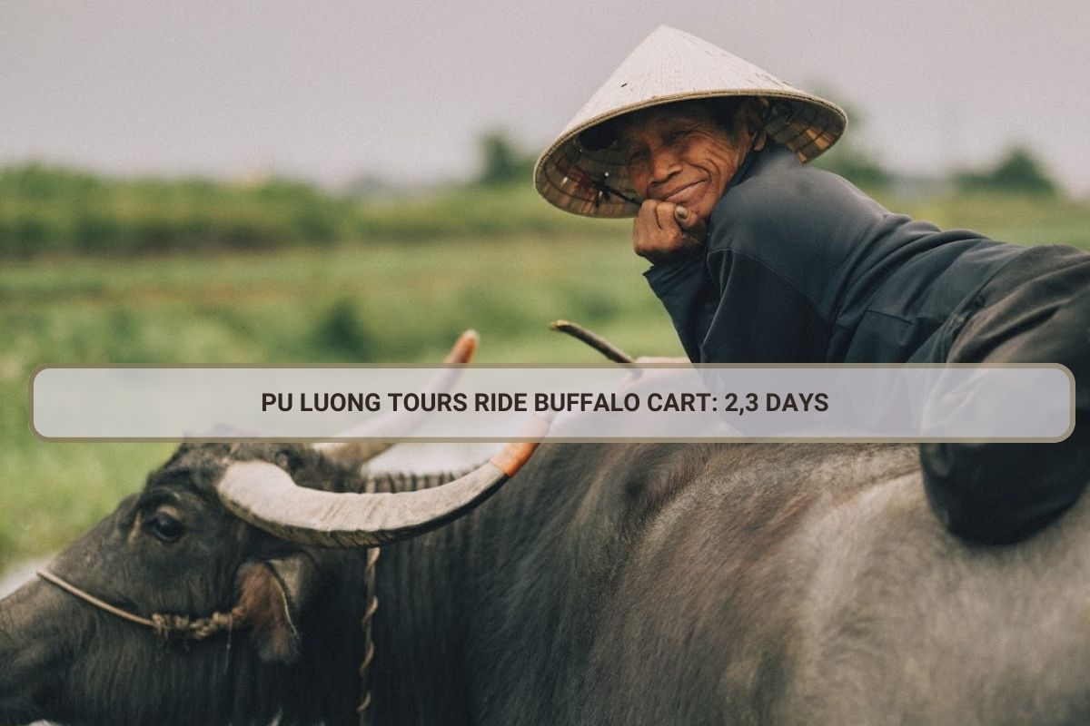 Pu Luong Tours Ride Buffalo Cart: 2,3 Days