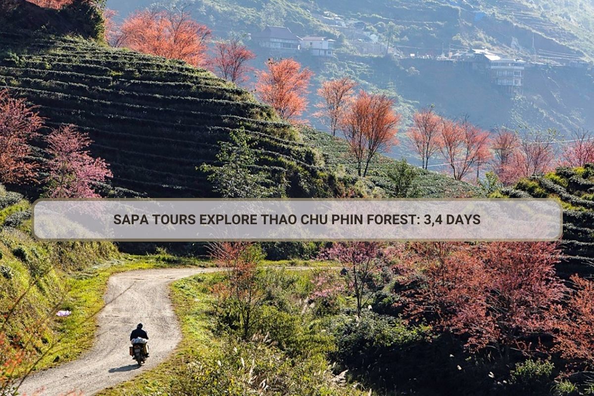 Sapa Tours Explore Thao Chu Phin Forest: 3,4 Days