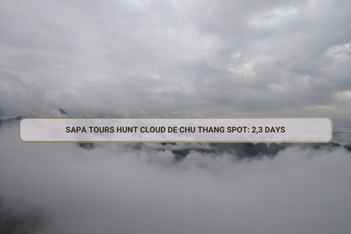 Sapa Tours Hunt Cloud De Chu Thang Spot: 2,3 Days