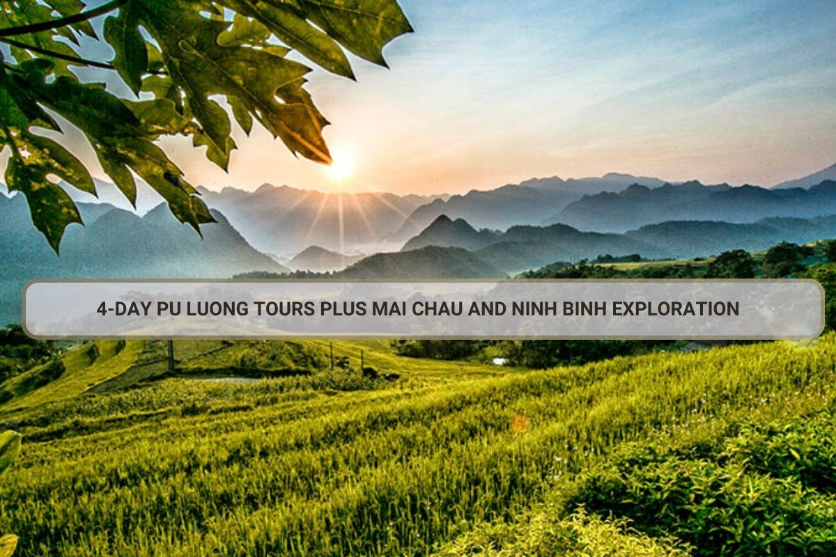 4-Day Pu Luong Tours Plus Mai Chau And Ninh Binh Exploration