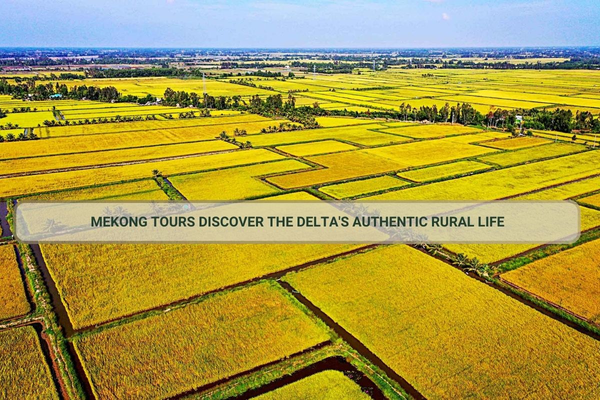 Mekong Tours Discover The Delta's Authentic Rural Life