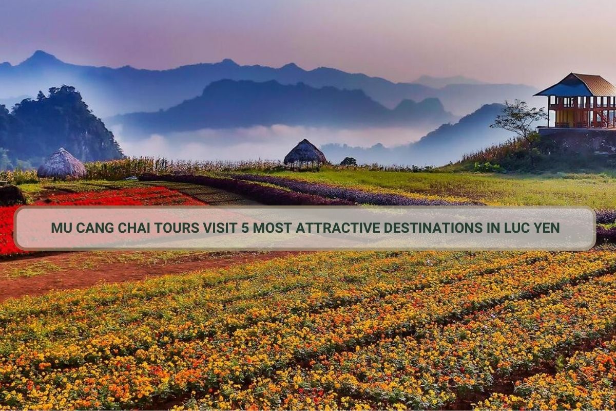 Mu Cang Chai Tours Visit 5 Most Attractive Destinations In Luc Yen