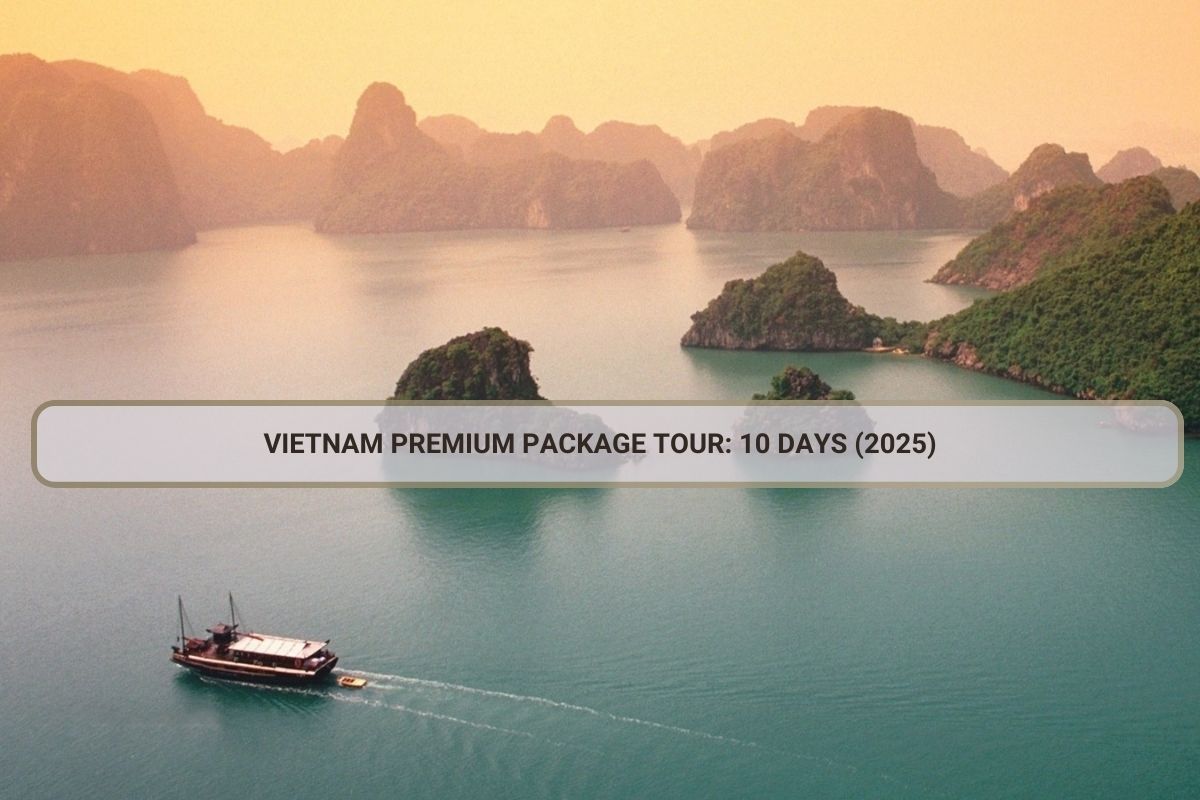 Vietnam Premium Package Tour: 10 Days (2025)