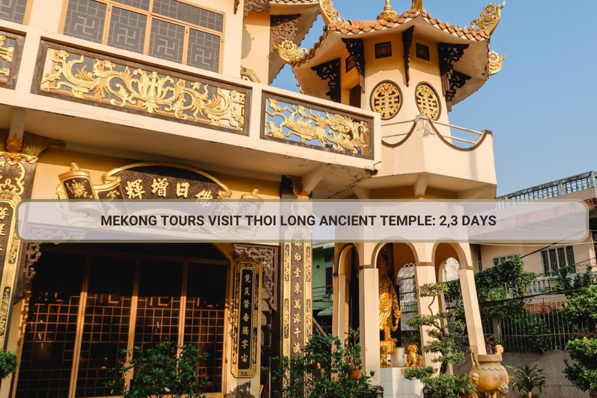 Mekong Tours Visit Thoi Long Ancient Temple: 2,3 Days