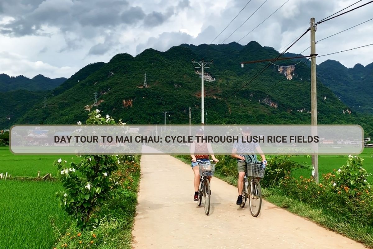 Day Tour to Mai Chau: Cycle Through Lush Rice Fields