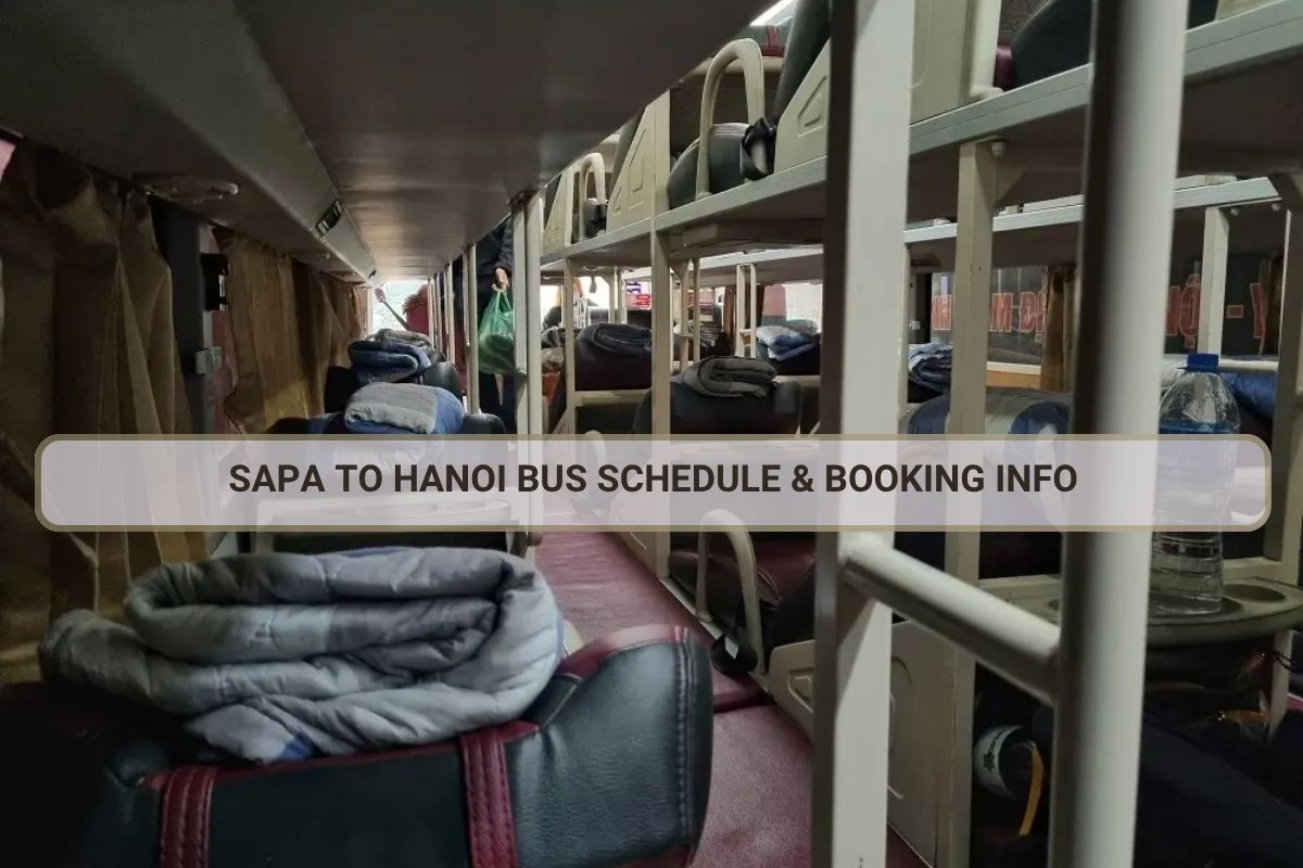 Sapa to Hanoi Bus Schedule & Booking Info
