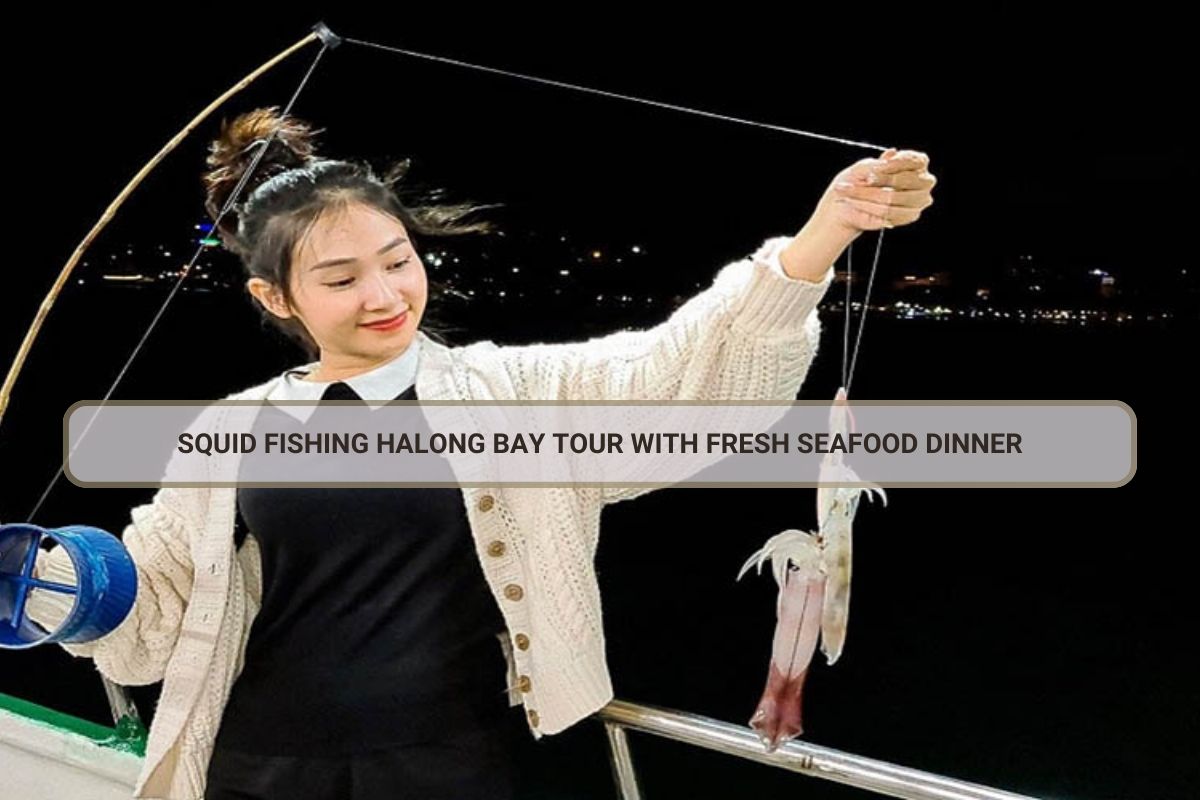 Squid Fishing Halong Bay Tour with Fresh Seafood Dinner