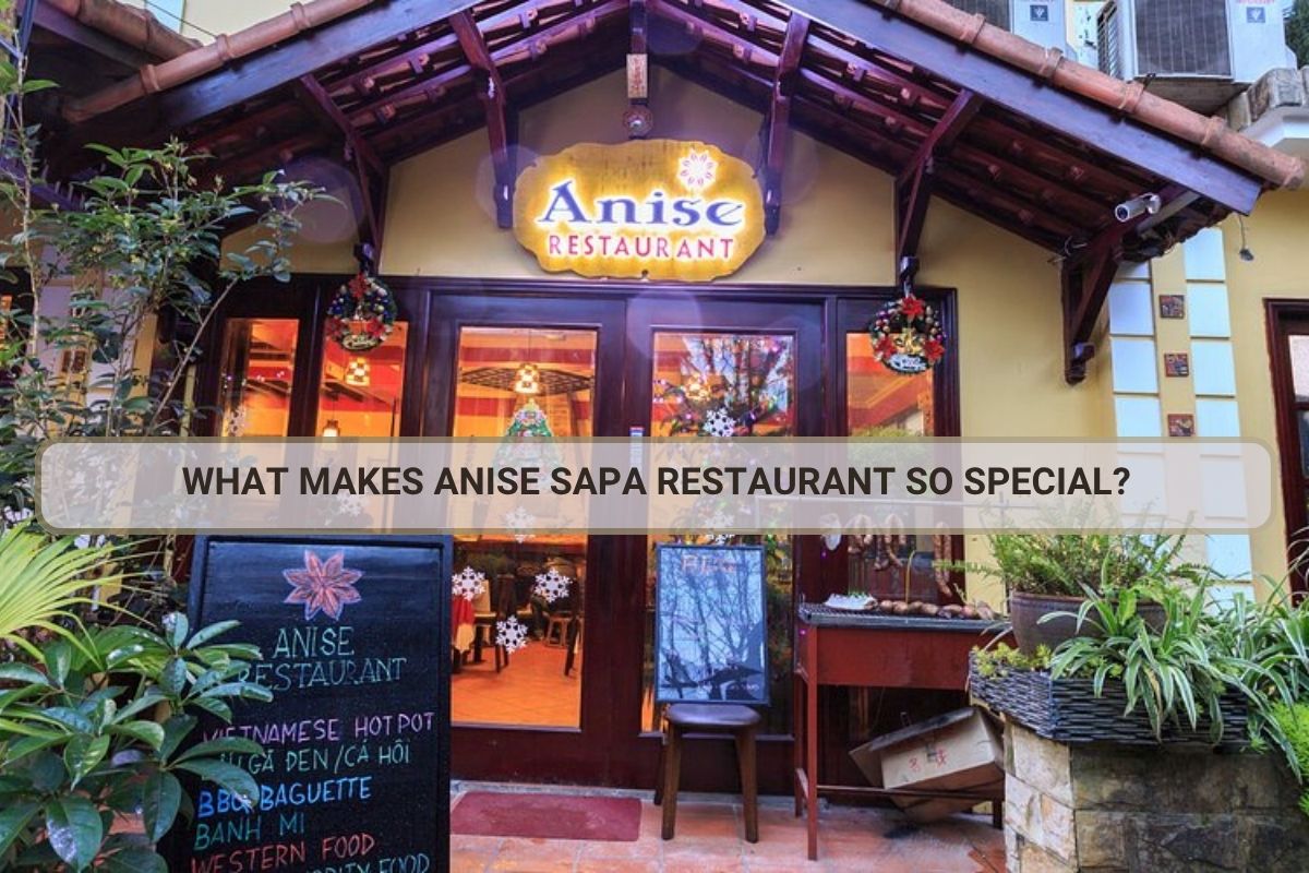 What Makes Anise Sapa Restaurant So Special?