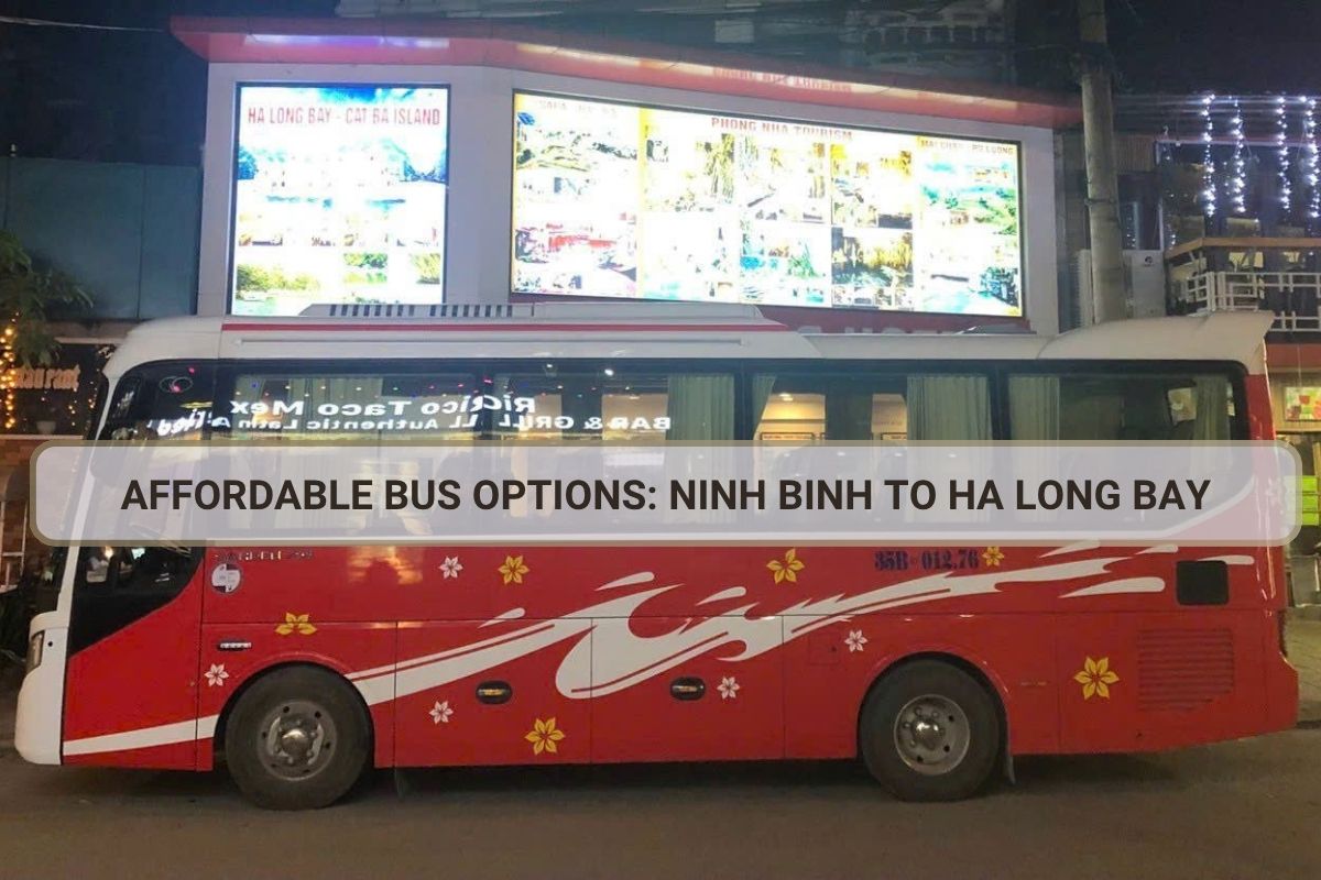 Budget-Friendly Bus from ninh binh to ha long bay