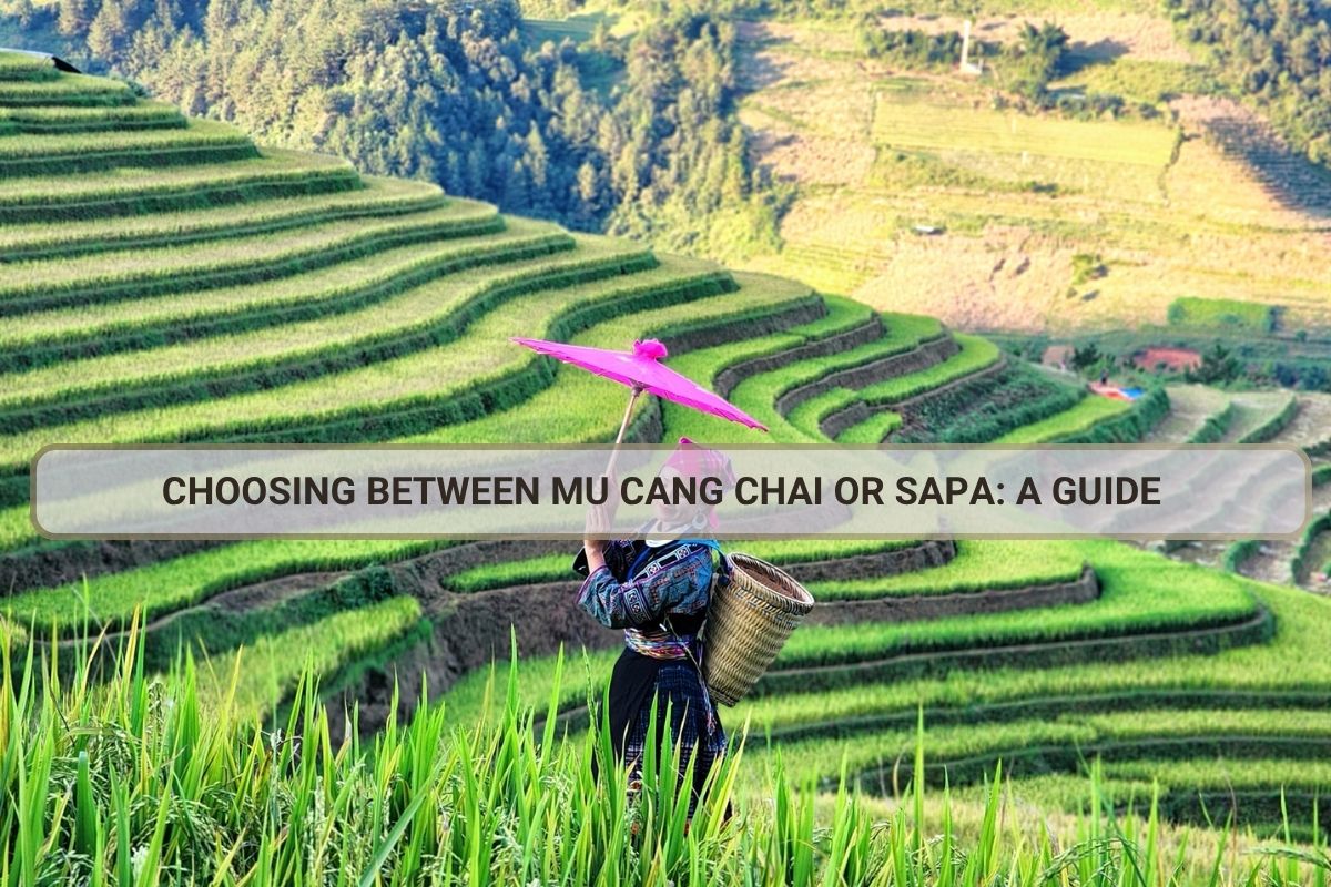 "Choosing Between Mu Cang Chai or Sapa: A Guide"