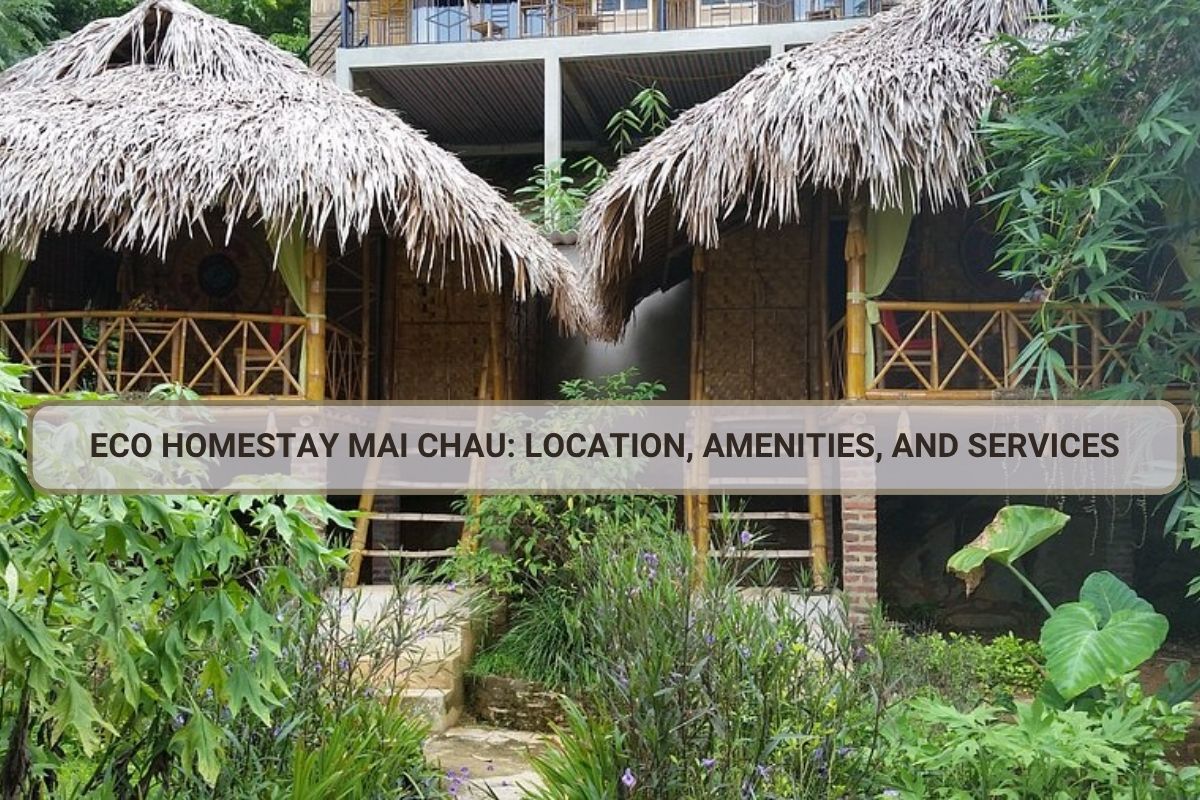 Eco Homestay Mai Chau: Location, Amenities and Services