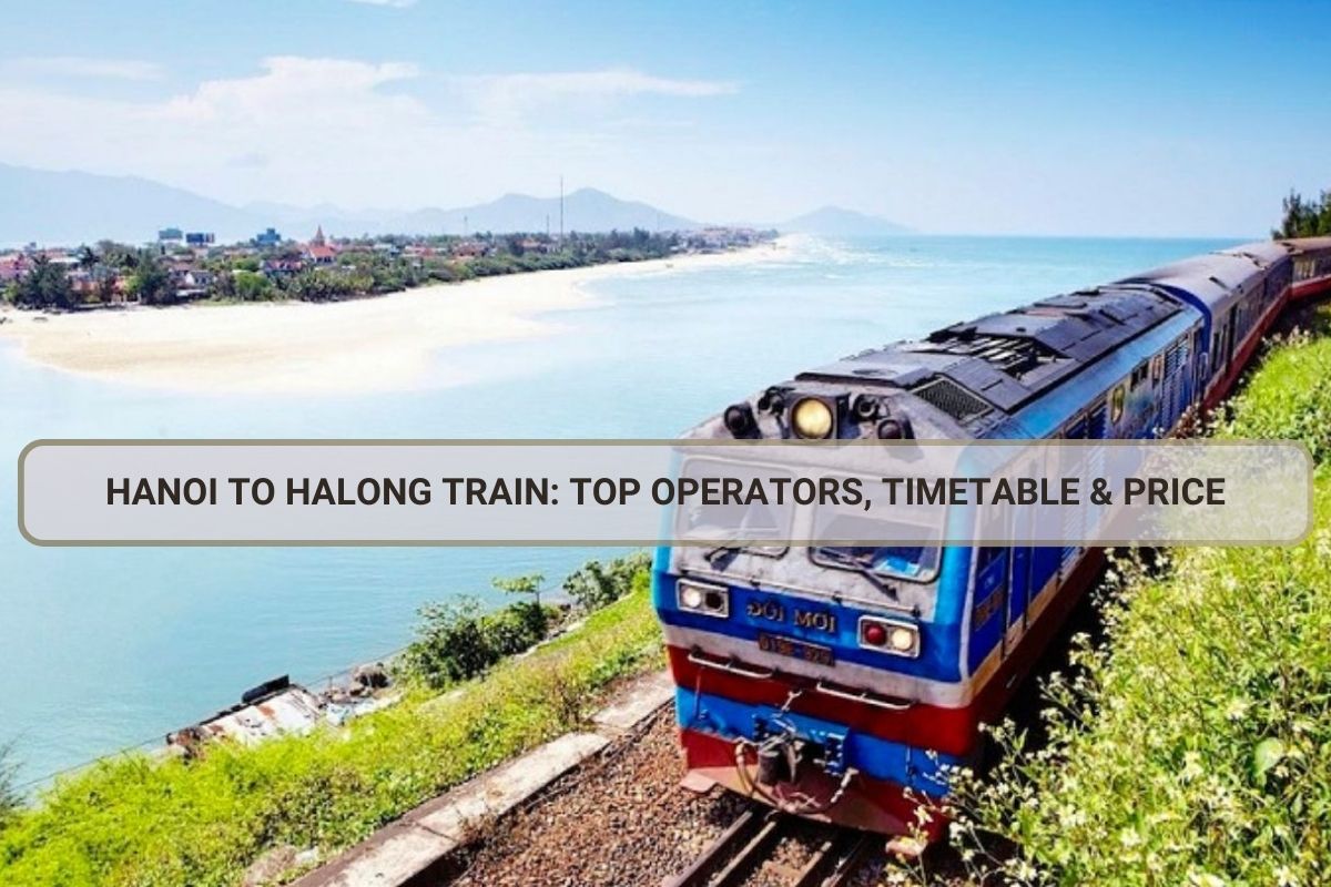 Hanoi to Halong Train: Top Operators, Timetable & Price