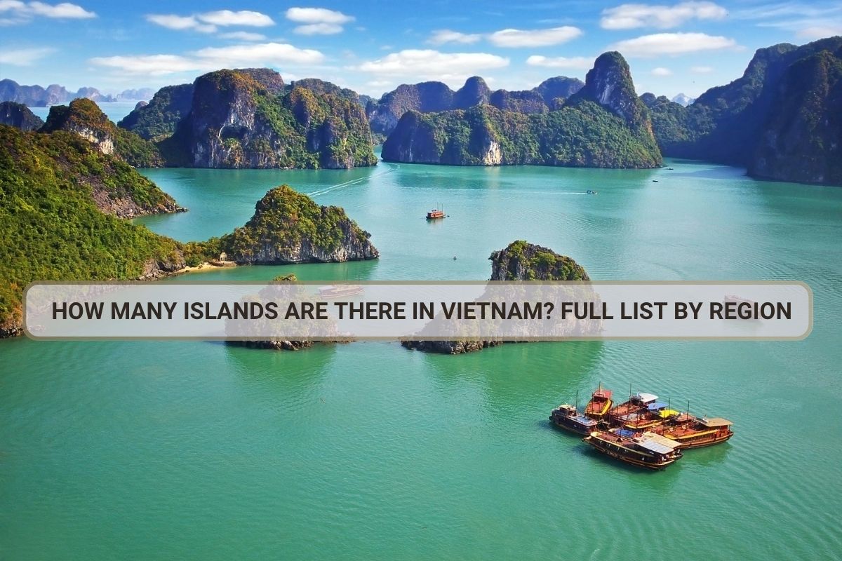 How Many Islands Are There in Vietnam? Full List by Region