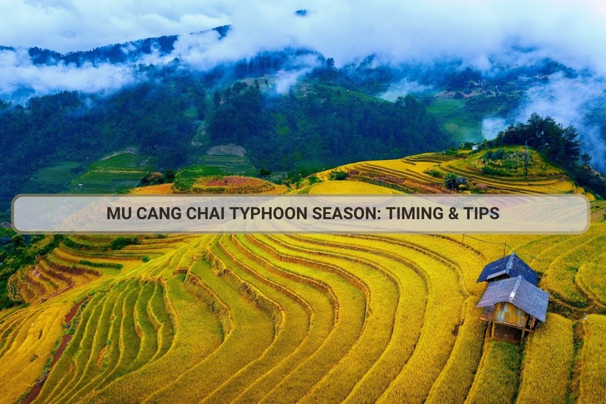 Mu Cang Chai Typhoon Season: Timing & Tips