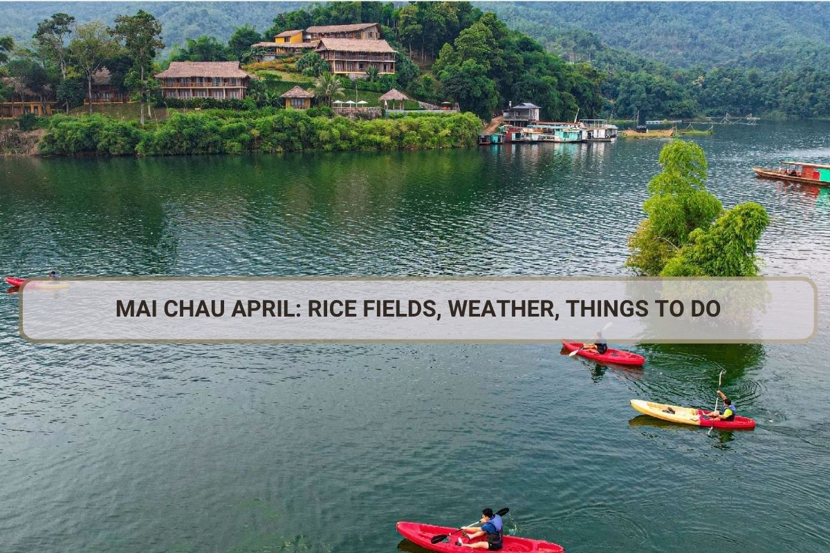 Mai Chau April: Rice Fields, Weather, Things to Do