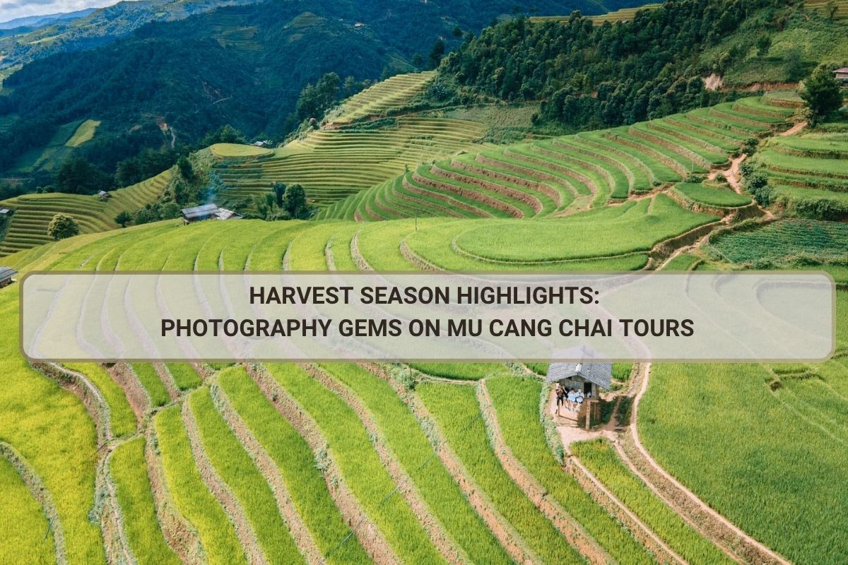 Where to Photograph Mu Cang Chai in the Harvest Season