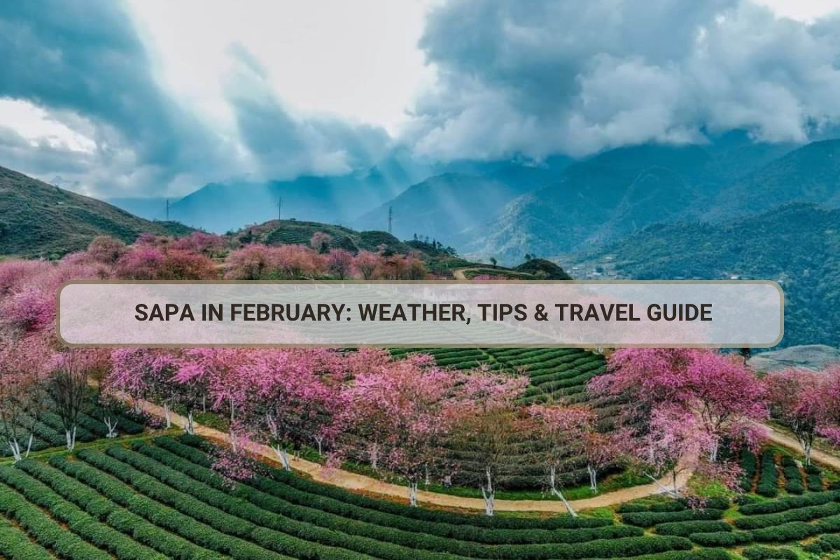 Sapa in February: Weather, Tips & Travel Guide