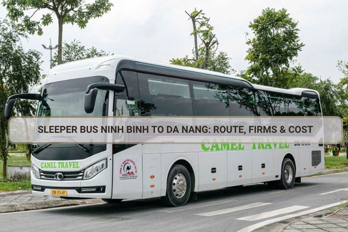 Sleeper Bus Ninh Binh to Da Nang: Route, Firms & Cost