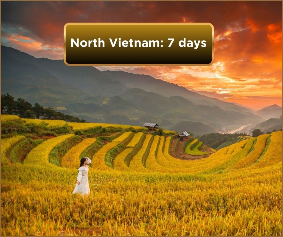 Unmissable 7-Day Vietnam Package Tour - Impress Travel